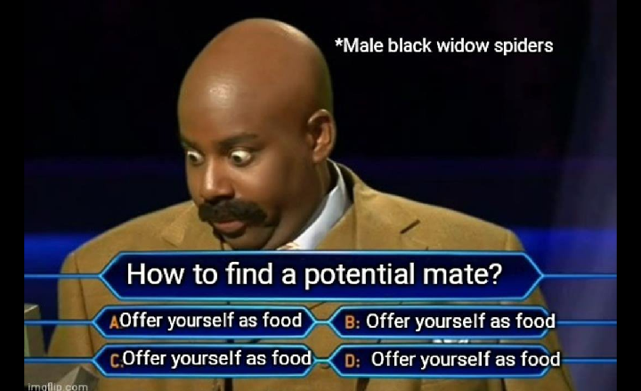 Post something that will make us smile. - Forum Games & Quizzes ...